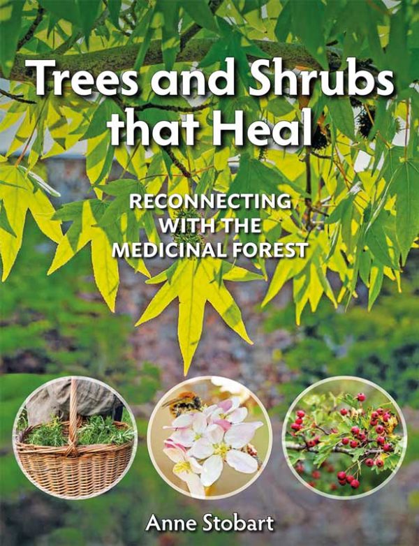 Trees and Shrubs that Heal: Reconnecting With The Medicinal Forest ...