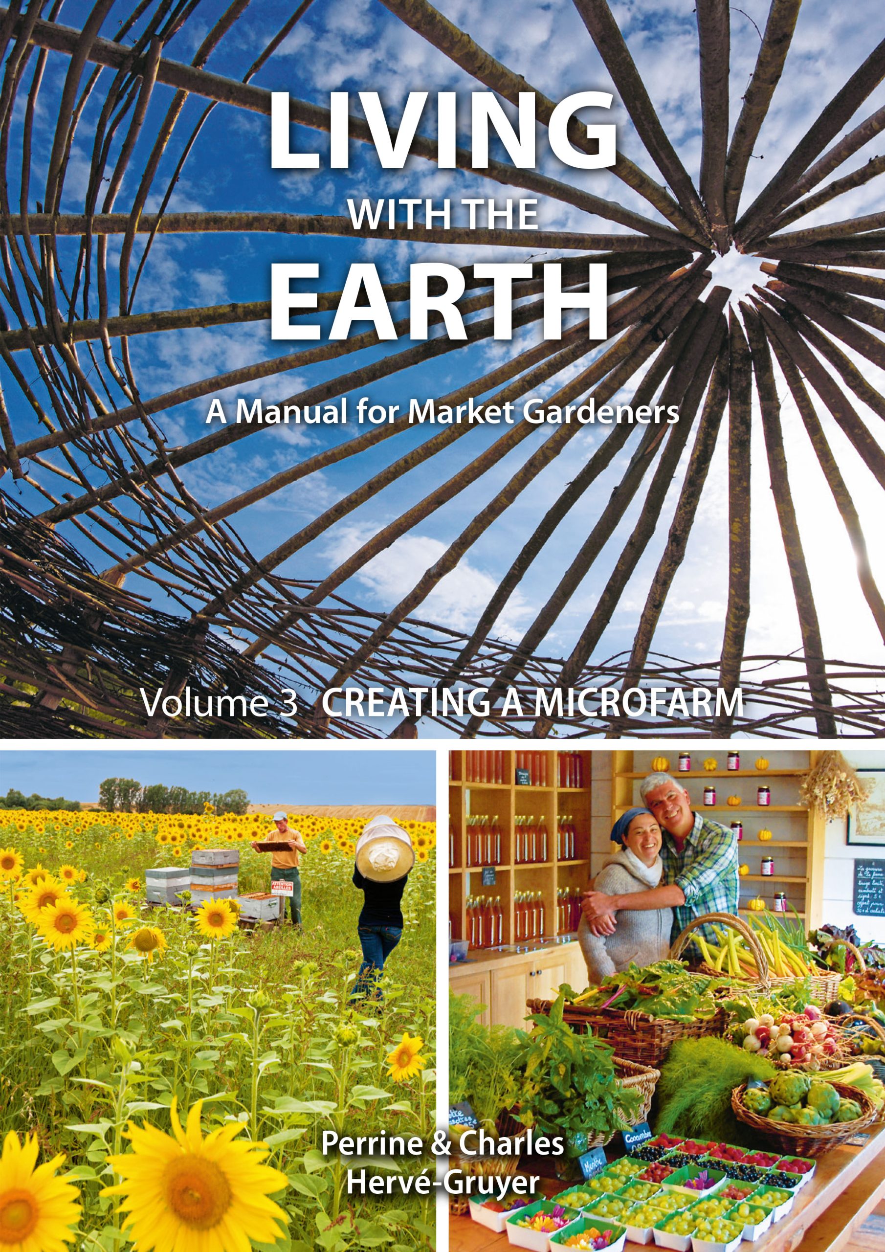 Energy Revolution: Your Guide to Repowering the Energy System by Howard ...